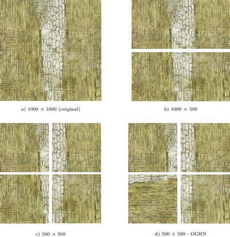 Figure 2 From Advanced Wood Species Identification Based On Multiple Anatomical Sections And