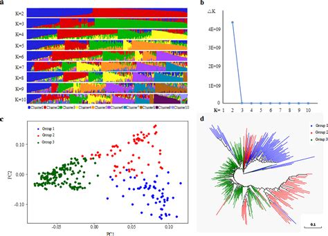 Population Structure Pca And Phylogenetic Tree Of The Core Collection Download Scientific