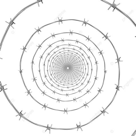 가시철사 나선형 고립된 백색 위에서 정면도 사진 배경 및 무료 다운로드를위한 그림 Pngtree