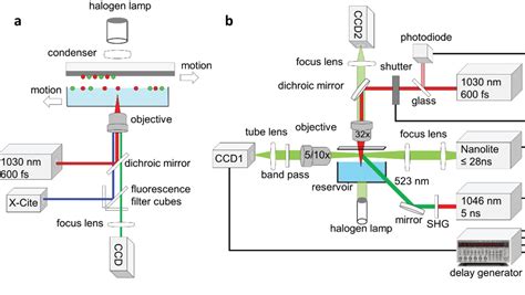 Scientists Develop New Ultra Precise Single Cell Resolution 3d Bioprinting Technique 3d