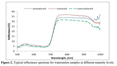Date Of Input 29122022 Updated 29122022 Ainzubaidah