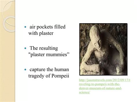 Fossilization Ppt Pptx