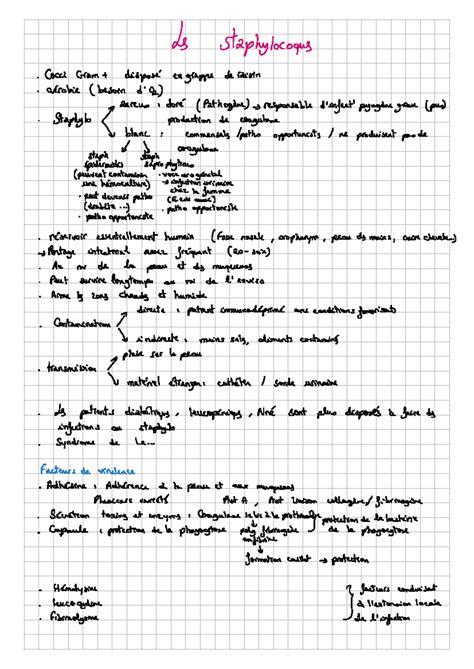 Les Staphylocoque Summary Médecine Générale Ls Staphylocogus Cacci