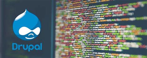 ¿por Qué Elegir Drupal Para El Desarrollo De Tu Web Avellana Digital