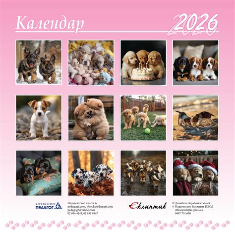 Стенен календар 2026 Малки Кученца размер 220х220 мм 14 листов Emag Bg