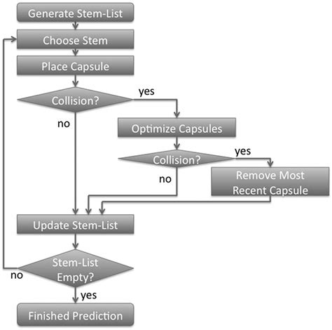 A Flow Chart Depicting The Algorithm For Predicting Rna Secondary
