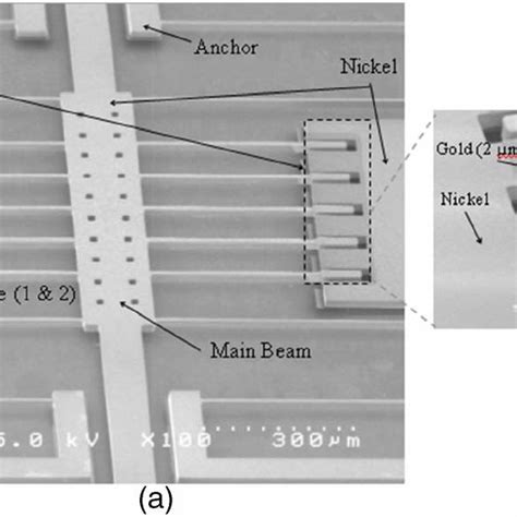 Sem Picture Of The Contact Surface Of The Mems Relay A Contact Finger Download Scientific