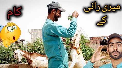 Meri Rani Yah 😊 Kya Kar Rahi Hai 😱 Youtube