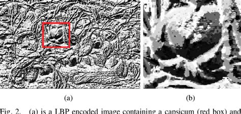 Figure 2 From On Visual Detection Of Highly Occluded Objects For Harvesting Automation In