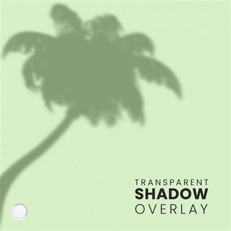 투명 야자수 그림자 오버레이 템플릿 무료 Psd 파일