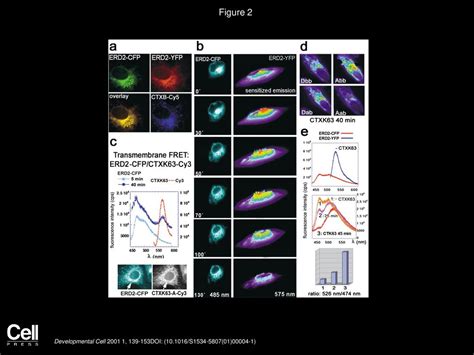 Volume 1 Issue 1 Pages July 2001 Ppt Download