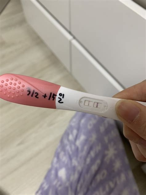 임신준비 배란 15일~ 배란 21일차 임신 극초기 4주 5주 증상 임테기 역전 네이버 블로그