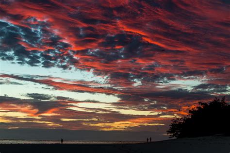 Heron Sunrise Wicktech Blog