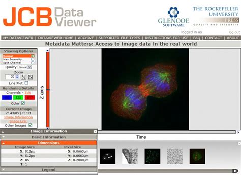 Example Data In The Jcb Dataviewer An Example Of Original Image Data