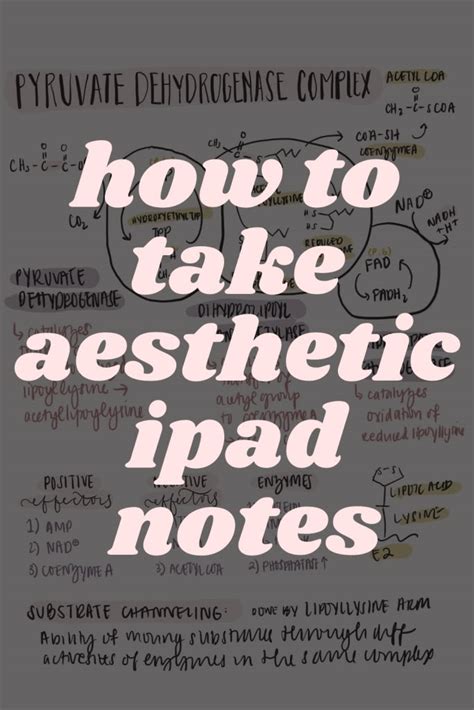 How To Take Aesthetic Notes On Your IPad Babe Organization Notes College Notes College