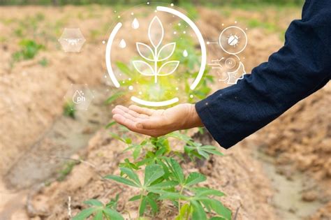 Premium Photo Cassava Growers Use Artificial Intelligence Technology