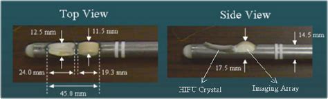 Top And Side Views Of The Probe Tip Download Scientific Diagram