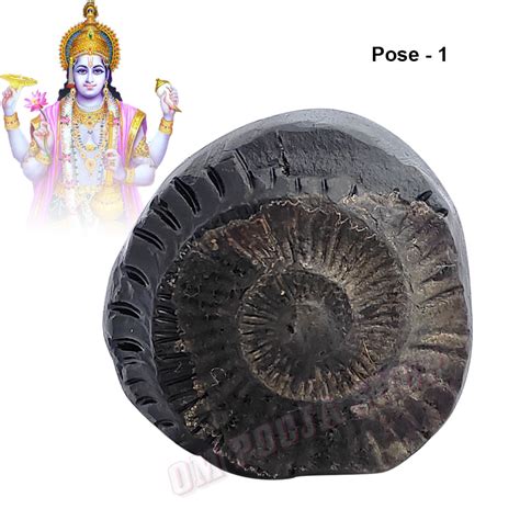 Top 999 Shaligram Images Amazing Collection Shaligram Images Full 4k