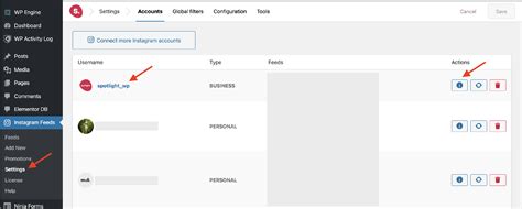 Providing Your Access Token And User Id Spotlight