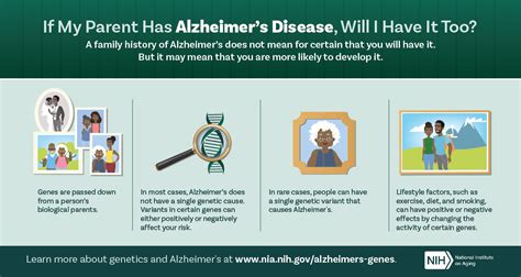 Alzheimers Disease Causes