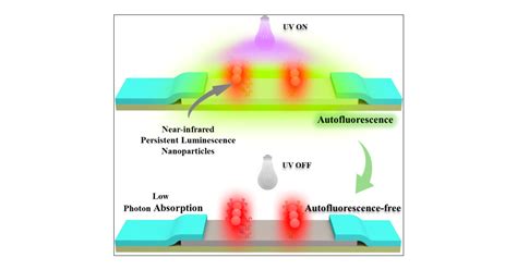 Near Infrared Persistent Luminescence Nanoparticles Based Immunochromatographic Assay For