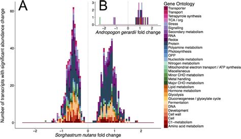 The Distribution Of Transcripts Within Major Functional Groups Download Scientific Diagram