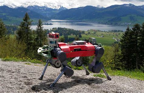 Quadruped Learns How To Adapt To Tough Terrain