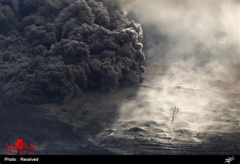 تصاویر سال محیط زیست