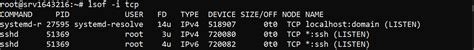 lsof command in linux with examples ultahost knowledge base