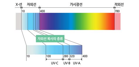 호기심과학 병도 주고 약도 주는 자외선 현명하게 자외선을 차단하는 방법은