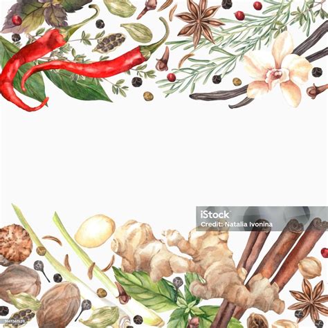향신료 수채화 집합 클립 아트에 대 한 그림입니다 메뉴 요리 블로그 포장 섬유 웹 디자인 사이트 스티커 초대장 패턴 로고 용으로 설계되었습니다 손으로 그렸습니다 계피에 대한