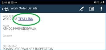 HTML In Maximo Labels And Field Values Maximo