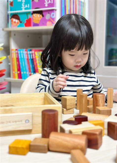 2살 아기 원목교구 24개월 두돌 장난감 숲소리 유아블럭 66p 네이버 블로그