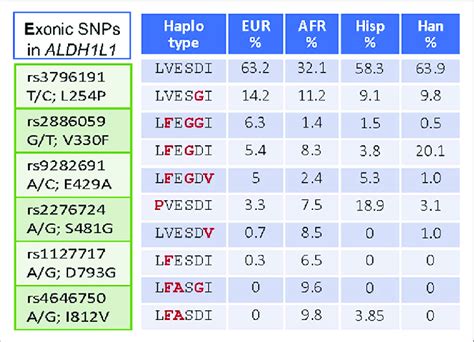 Left Panel Snps In The Exonic Region Causing Non Synonymous Amino Download Scientific