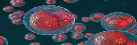 Automation In Routine Pgt A Workflow Revvity