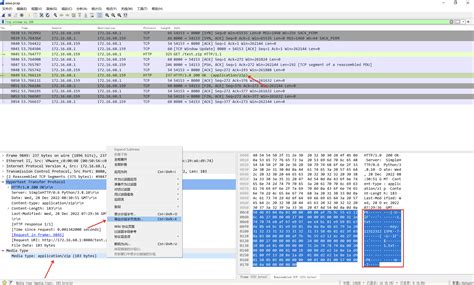 Wireshark流量分析还原zip文件wireshark提取压缩包 Csdn博客 Wireshark流量分析还原zip文件wireshark提取压缩包 Csdn博客