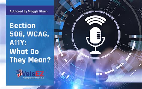 Section 508 Wcag A11y What Do They Mean Vetsez