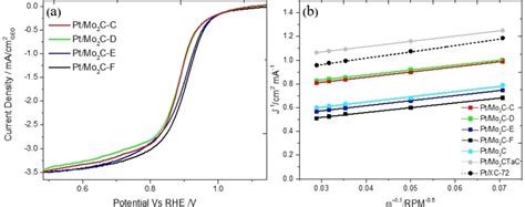 a Linear sweep voltammograms at 1000 rpm and b KouteckýLevich Download Scientific Diagram