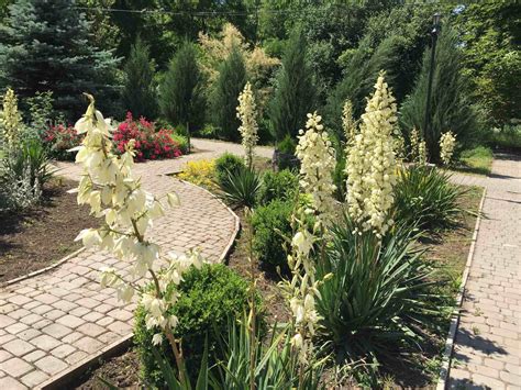 Краматорська загальноосвітня школа I Iii Cтупенів 5 Home