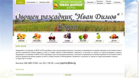 Контакти Лицензиран овощен разсадник Иван Димов Варна