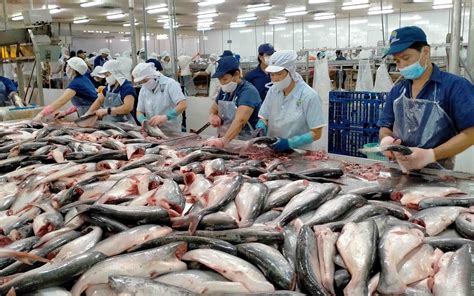 Doanh nghiệp Việt Nam gặp khó khi xuất khẩu cá tra sang Nga bị gián đoạn đồng Ruble mất giá