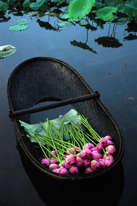 最是人间留不住，朱颜辞镜花辞树。——王国维《蝶恋花》