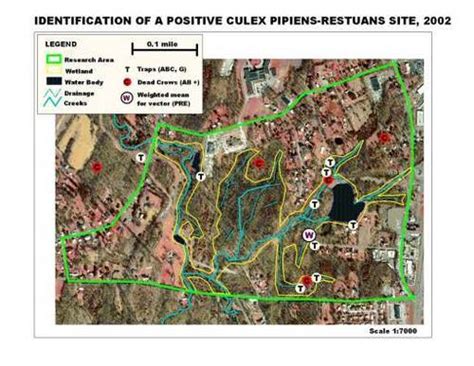 Two New Ways Of Disease Mapping Using Gis Are Put To The Test 2003 And 2013 Brian Altonen