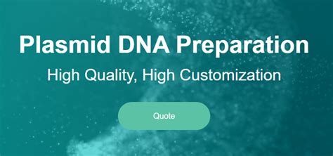 Plasmid Dna Preparation Benotech