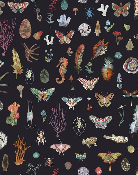 Specimens Black The Pattern Collective