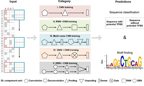 Figure 1 From Assessing Deep Learning Methods In Cis Regulatory Motif