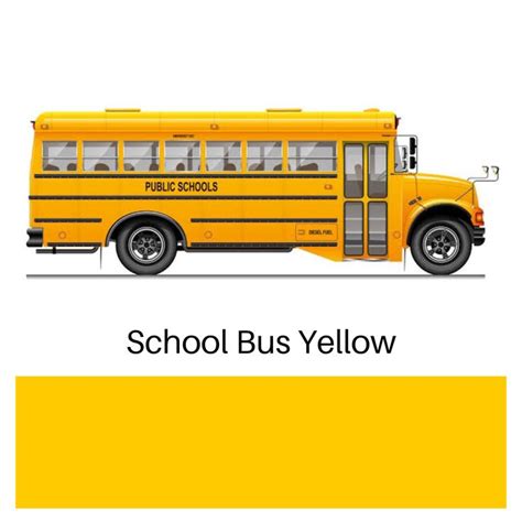 What Color Is School Bus Yellow