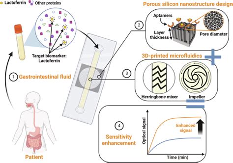 Enhancing The Performance Of Porous Silicon Biosensors The Interplay Of Nanostructure Design