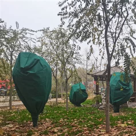 植物保暖无纺布包裹树木保护园林灌木绿化带缠树防风防寒防冻树罩虎窝淘