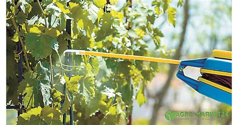 Кога препаратите са максимално ефективни Български Фермер